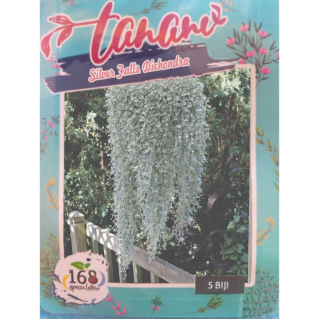 Jual Biji Bunga Silver Falls Dichondra Mudah Tumbuh Tahan Panas (Isi 5 ...