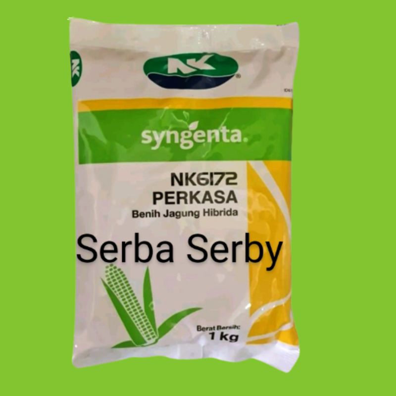 Jual Benih Jagung Hibrida Syngenta Nk 6172 Perkasa 1kg 100%Ori Serba ...