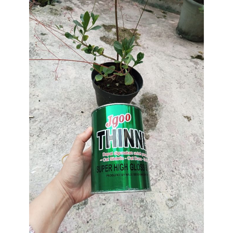 Jual THINNER CAP JAGOO PENGENCER CAT MINYAK DAN BESI | Shopee Indonesia