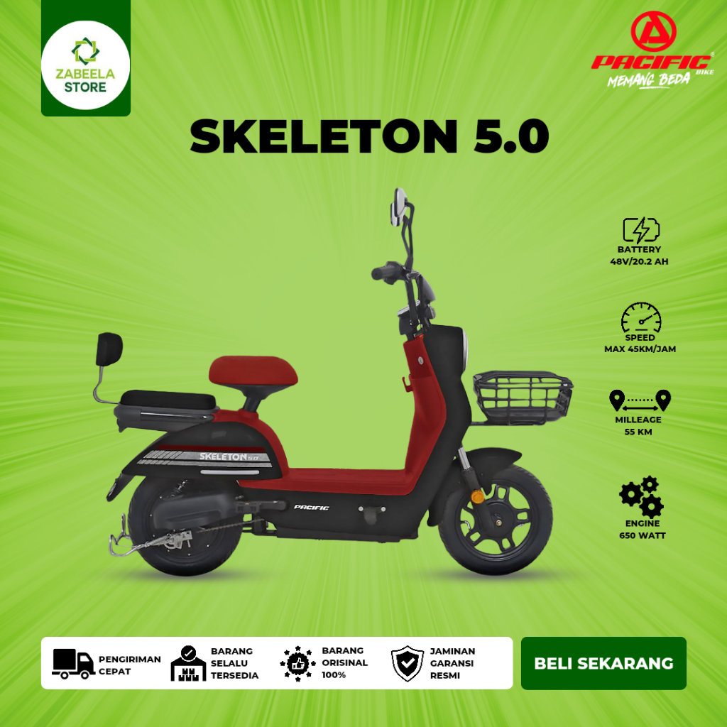 Jual SEPEDA LISTRIK PACIFIC SKELETON 5.0 650 WATT E - BIKE ELECTRIC ...