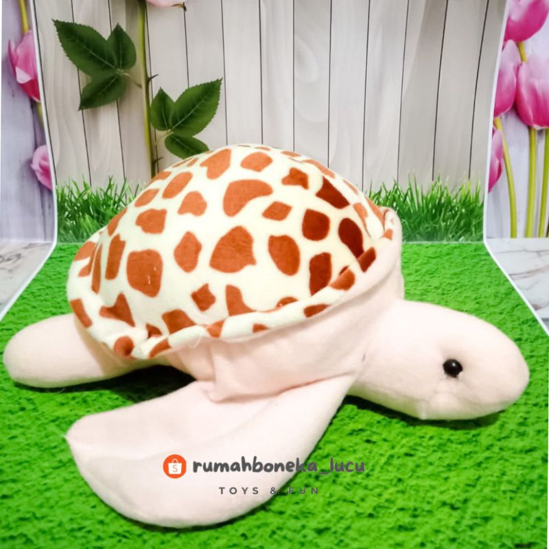 Jual Boneka Kura-Kura / Turtle Doll | Shopee Indonesia