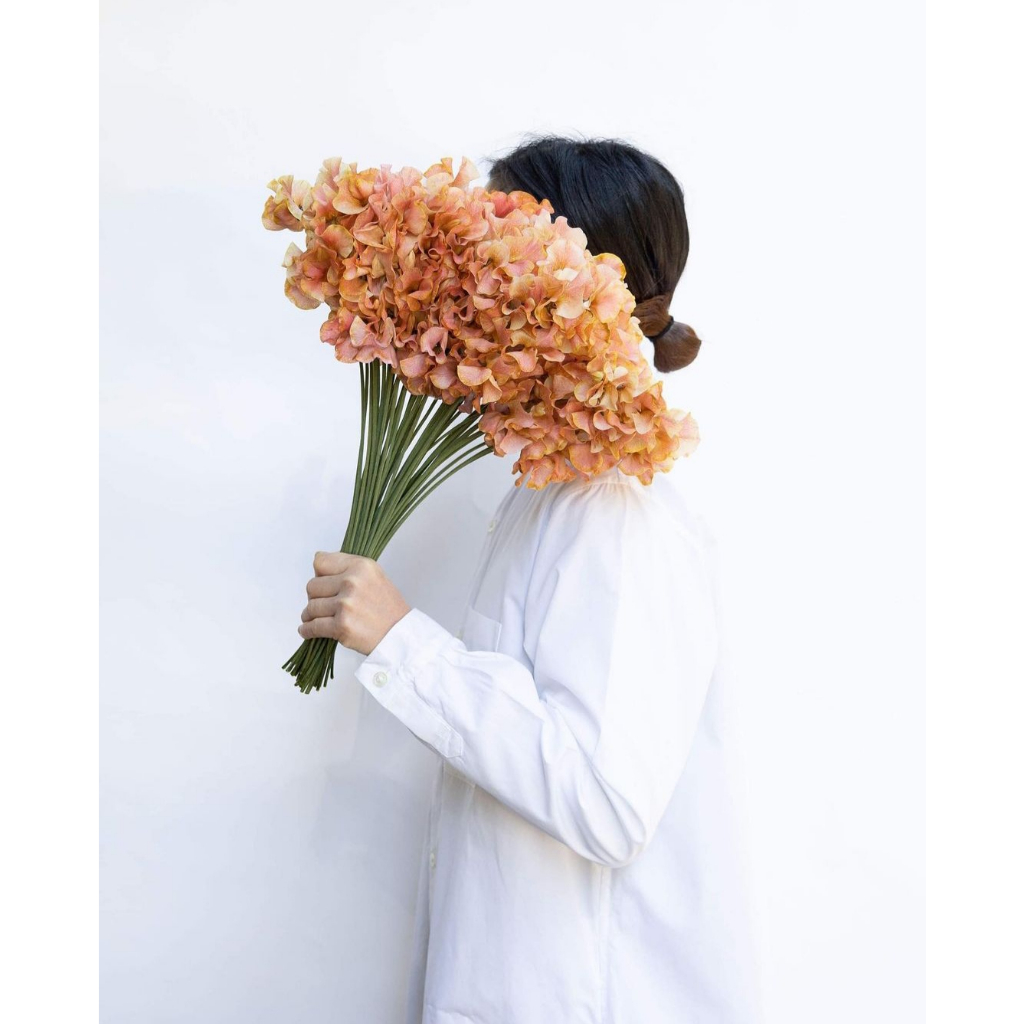 Jual 10 Benih Biji Bunga Odoratus Import Still Peach | Shopee Indonesia