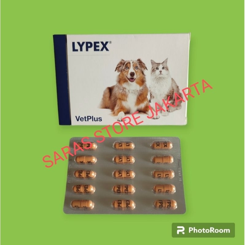 Jual LYPEX KAPSUL ENZIM ANTI DIARE ANJING KUCING SAKIT PANKREAS -Per ...