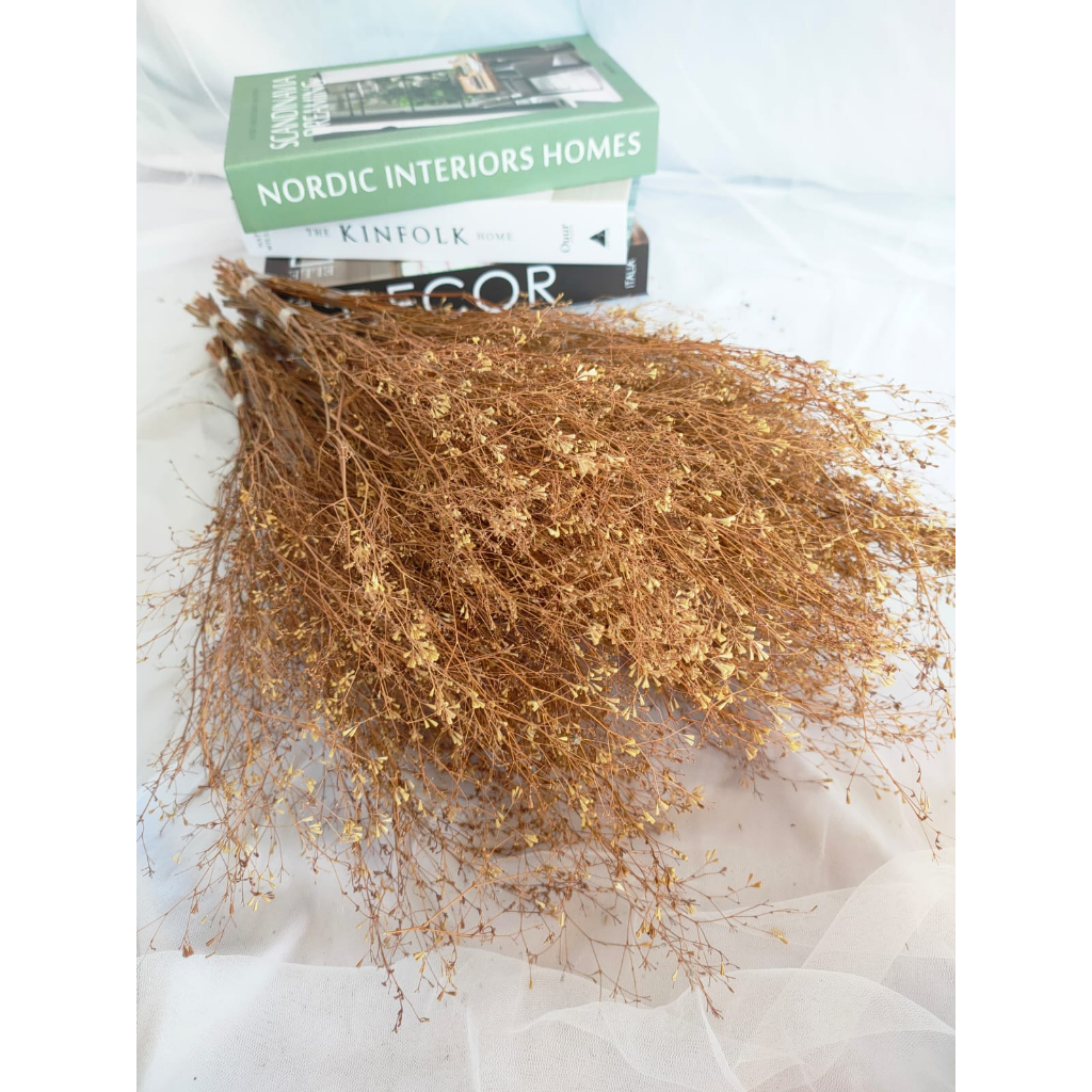 Jual FG- 15 Tangkai RANTING KERING WARNA NATURAL - CASPEA LOKAL -Hiasan ...