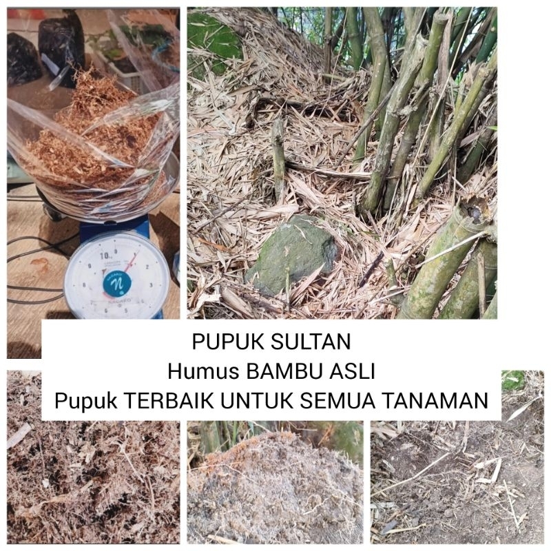 Jual HUMUS BAMBU ASLI,pupuk SULTAN | Shopee Indonesia