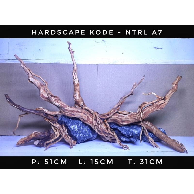 Jual Hardscape Tema Natural Kayu Hiasan Aquascape - Tank 60CM+ | Shopee ...