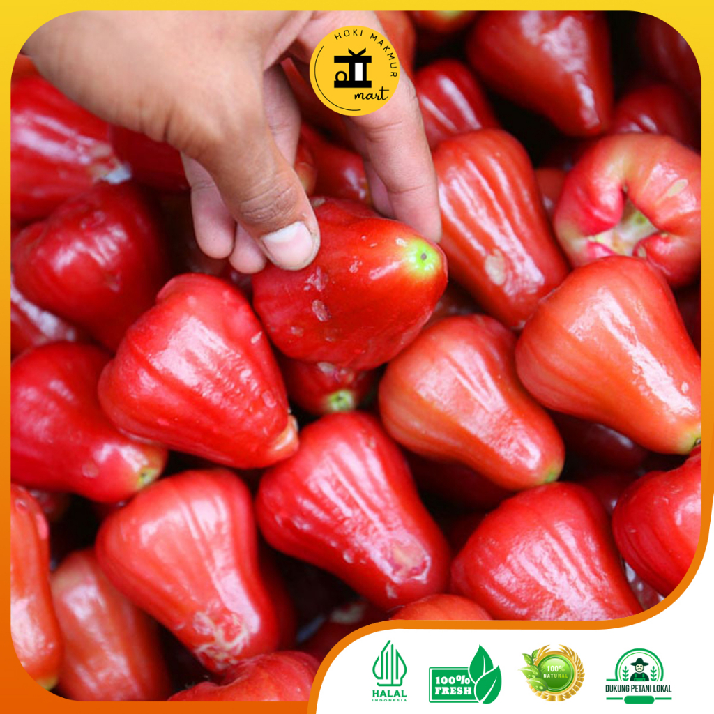 Jual JAMBU AIR CITRA | JAMBU CITRA 1 KG PREMIUM | Shopee Indonesia