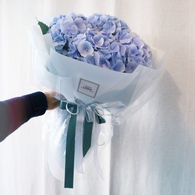 Jual The Hanna Florist - Simple Korean Hydrangea Bouquet buket bunga ...