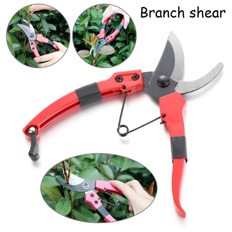 Jual Gunting Rumput Dahan Dan Ranting Pruning Bonsai Gardening Murah ...