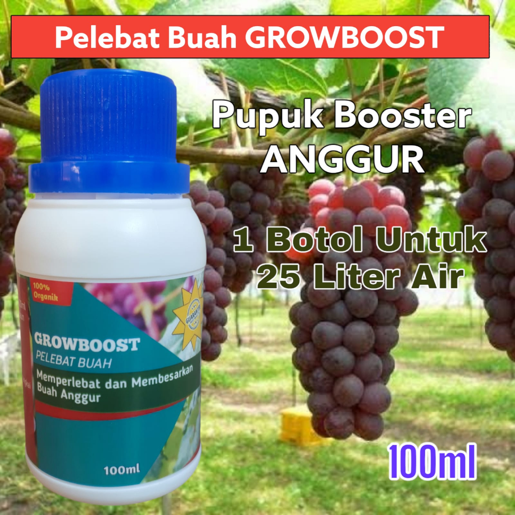 Jual Pupuk Buah Anggur Premium Organik GrowBoost Buah Anggur 100ml ...