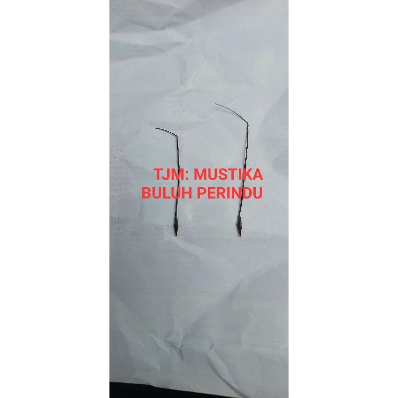 Jual Bambu Buluh Perindu Barang Asli Dan Original Harga Sepasang. Isi 2 ...