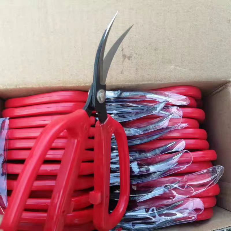 Jual GUNTING BENGKOK KECIL MERAH Gunting bengkok kecil merah | Shopee ...