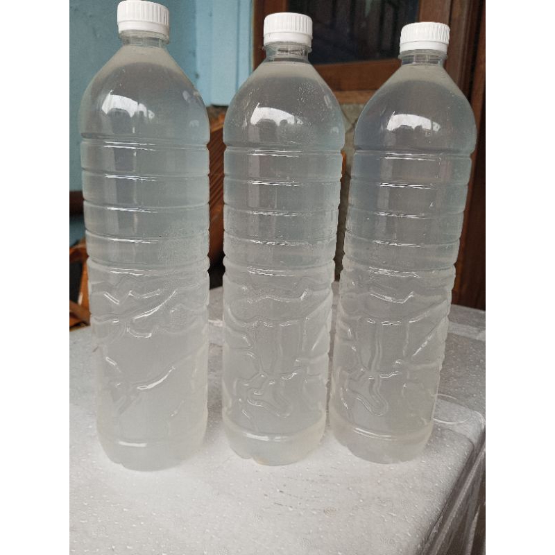 Jual Air Lontar atau Legen | Shopee Indonesia