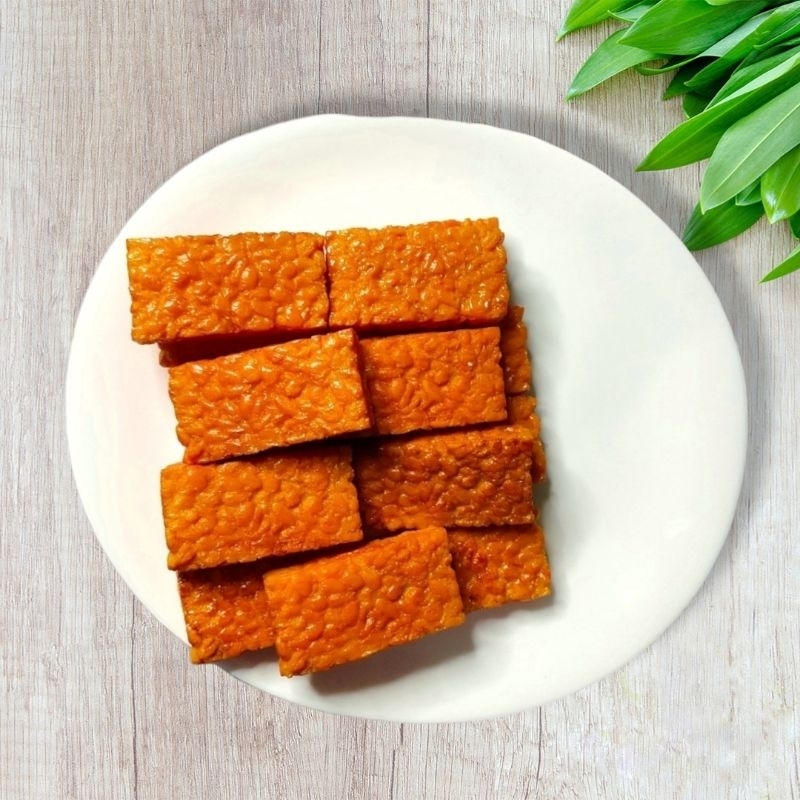 Jual Replika makanan Tempe ( 1 set 1 pcs ) / dummy makanan / jajanan ...