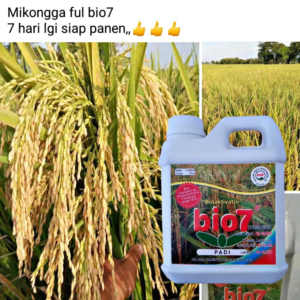 Jual Bio7 Padi Pupuk Organik Hayati 1 Liter BIOaktivator | Shopee Indonesia