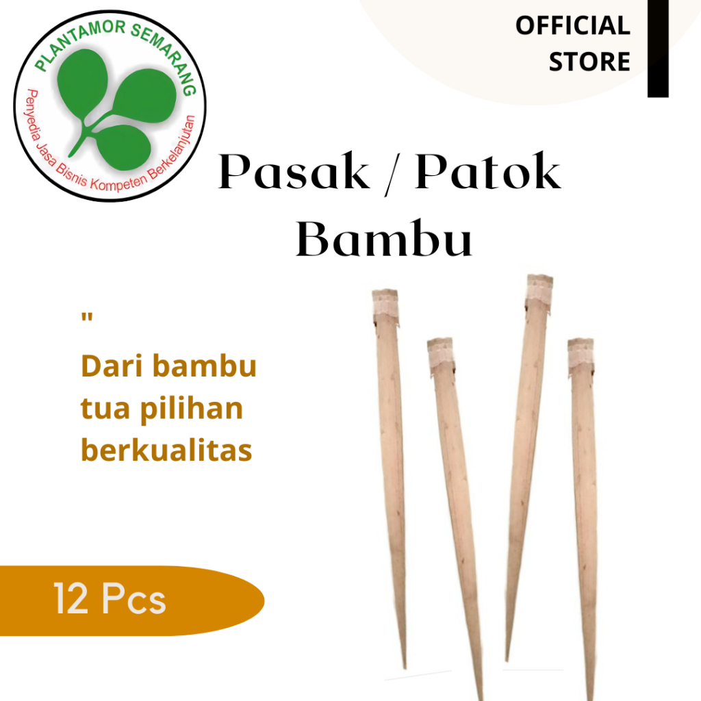 Jual Pasak Bambu atau Patok Bambu / Pancuh Bambu Isi 12 Pcs | Shopee ...
