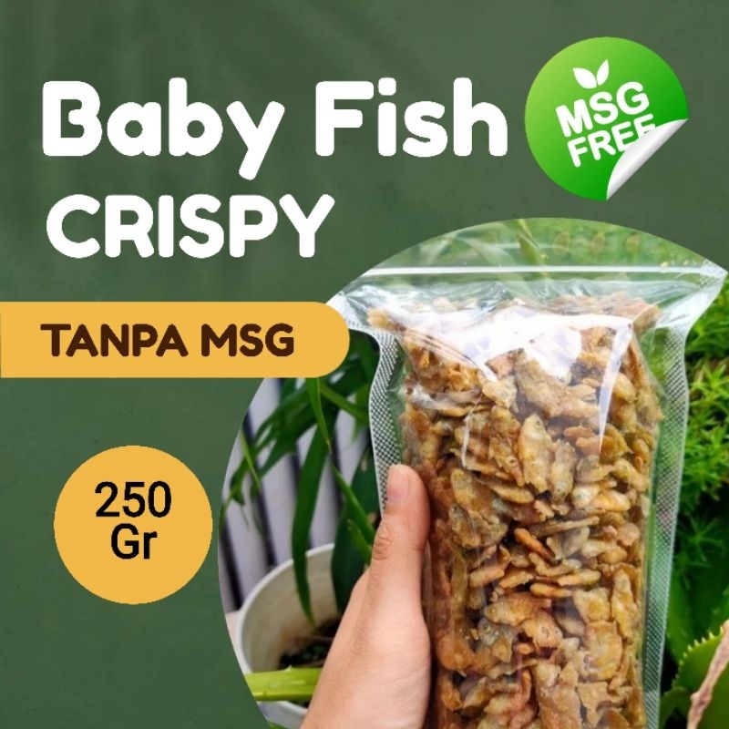 Jual Baby Fish Crispy 250gr | Baby Fish Ikan Crispy 250gr | Shopee ...