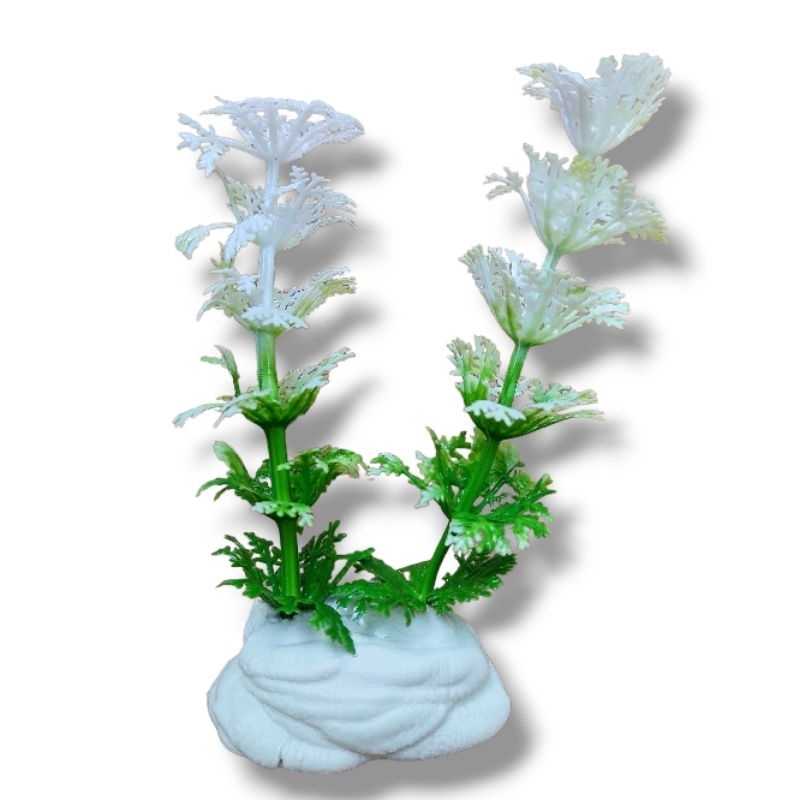 Jual Hiasan aquarium bunga frozen white | Shopee Indonesia