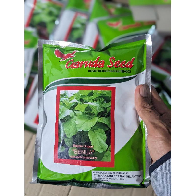 Jual 500gr biji - benih bayam cabut hijau muda bayem sayur stok baru ...