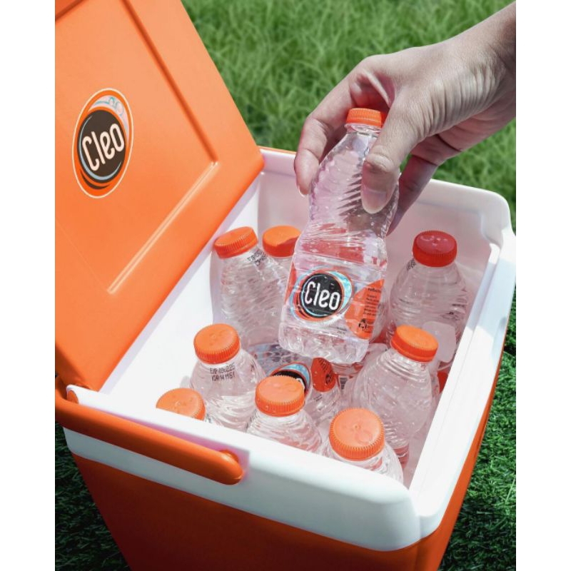 Jual Cleo Smart Mini Water 220ML 1 pack isi 24 Botol | Shopee Indonesia