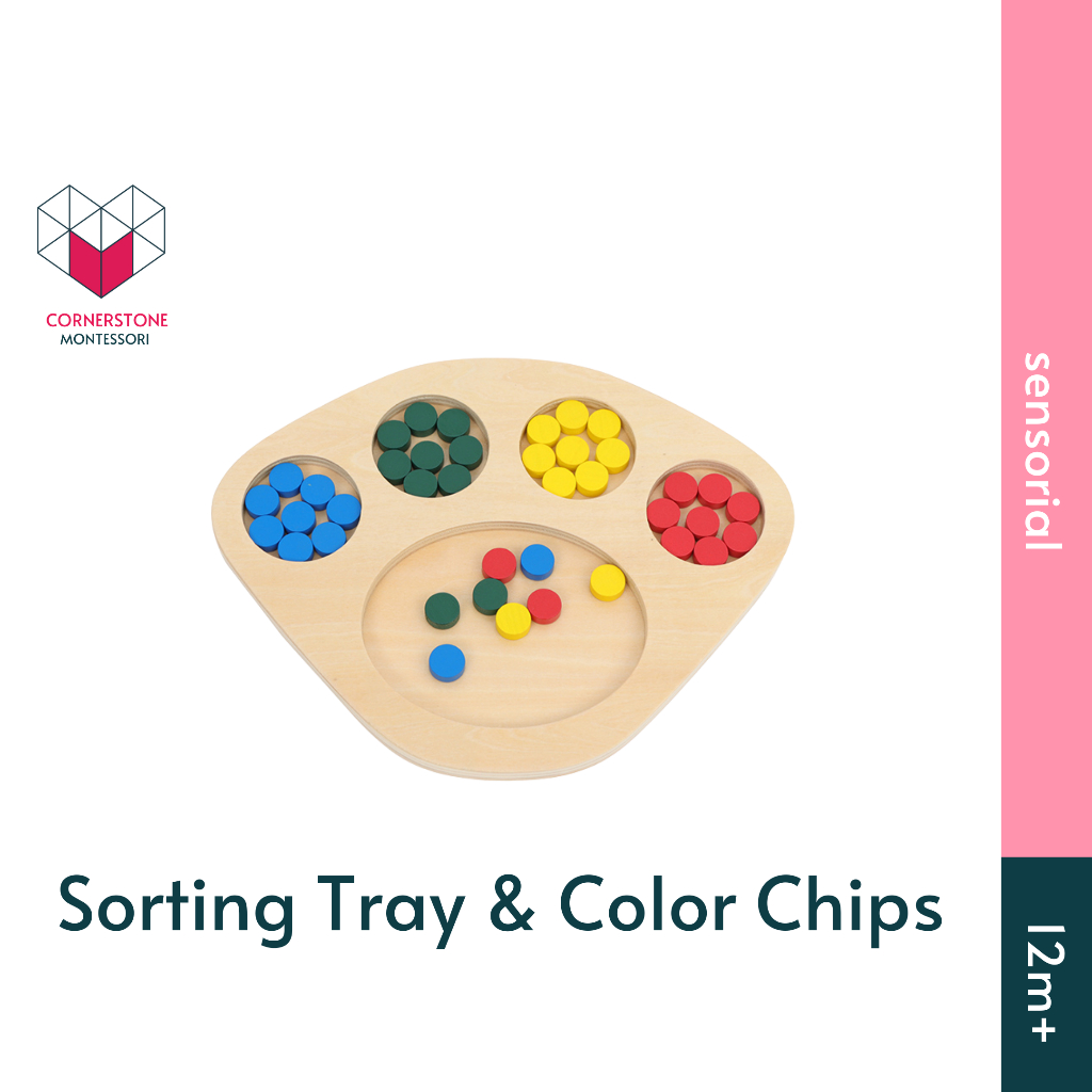 Jual Cornerstone Montessori Sorting Tray Set - Montessori Sensorial ...