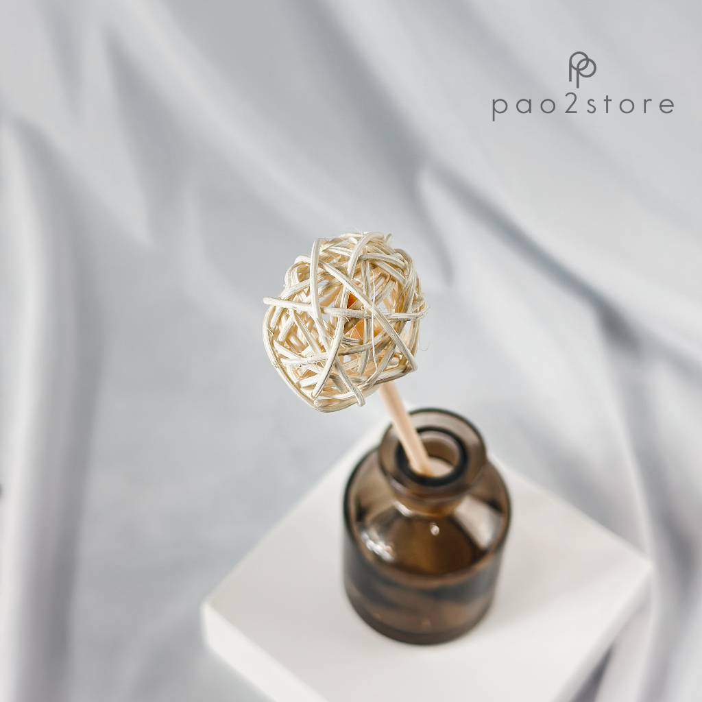 Jual Bunga Reed Diffuser - Sola Flower - Kering / Dried Klobot Wood ...