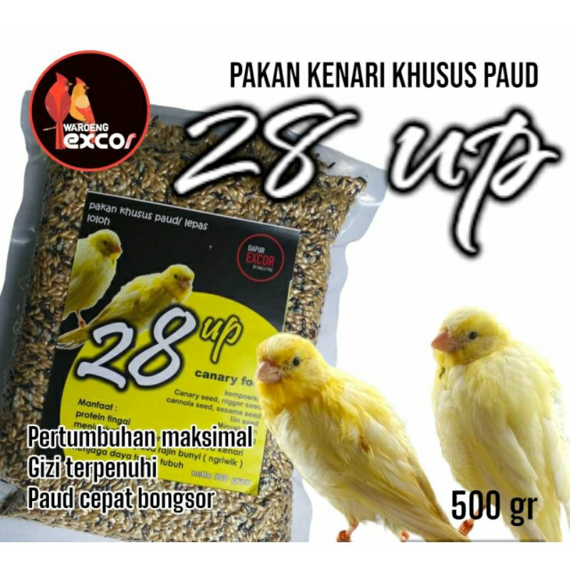 Jual pakan kenari untuk paud piyikan kenari lepas sapih dari induk ...