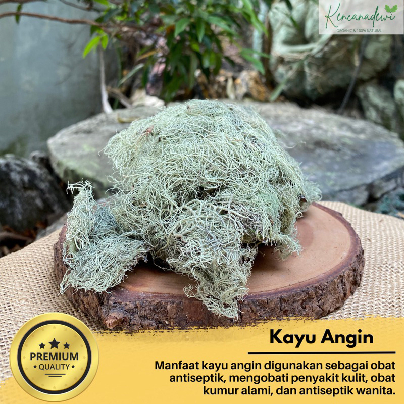 Jual KAYU ANGIN KERING 1KG | Shopee Indonesia