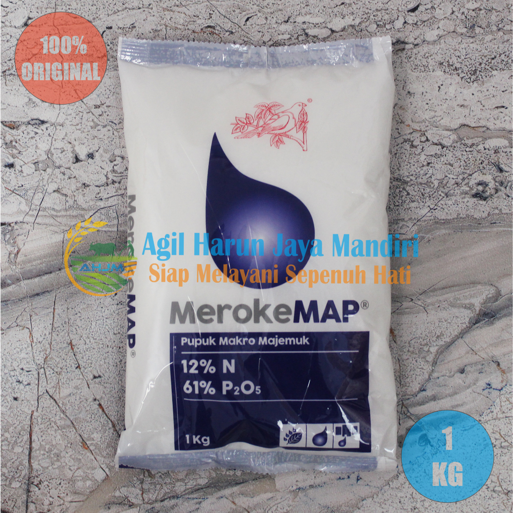 Jual Pupuk Meroke MAP 1 KG Pupuk Mono-Ammonium Phosphate Hidroponik ...