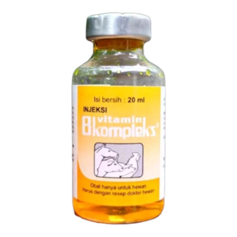 Jual Vitamin B komplek Injeksi 20ml Multivitamin Ayam anjing Sapi ...