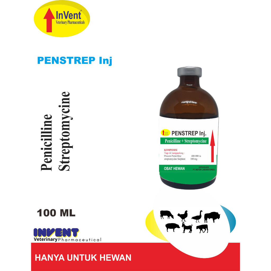 Jual Obat Hewan PENSTREP Inj Invent Obat infeksi saluran pernapasan ...