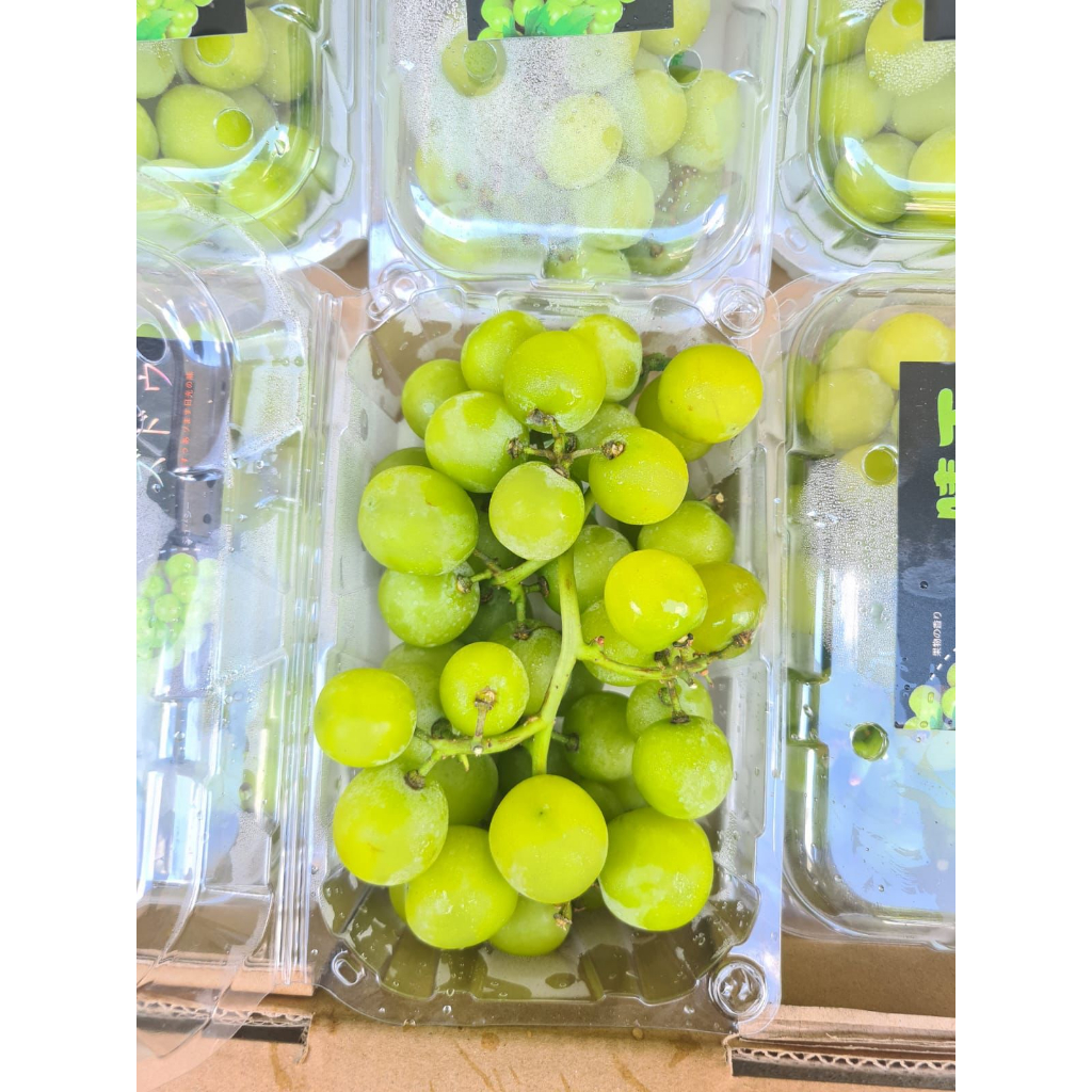 Jual Anggur Muscat (PACK) | Shopee Indonesia