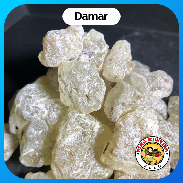 Jual GETAH DAMAR Per 1Kg | Shopee Indonesia