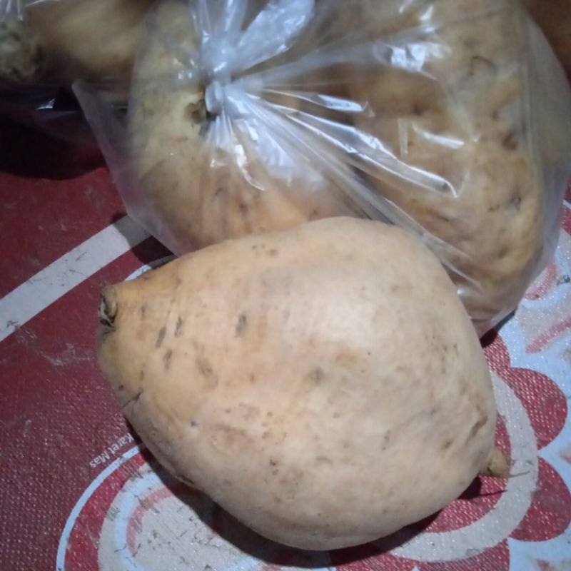 Jual ubi jalar cilembu 1kg (sabrang madu) | Shopee Indonesia