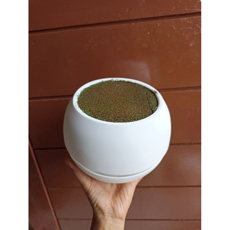 Jual pot bola vienna isi busa siap pakai untuk bunga artificial / vas ...