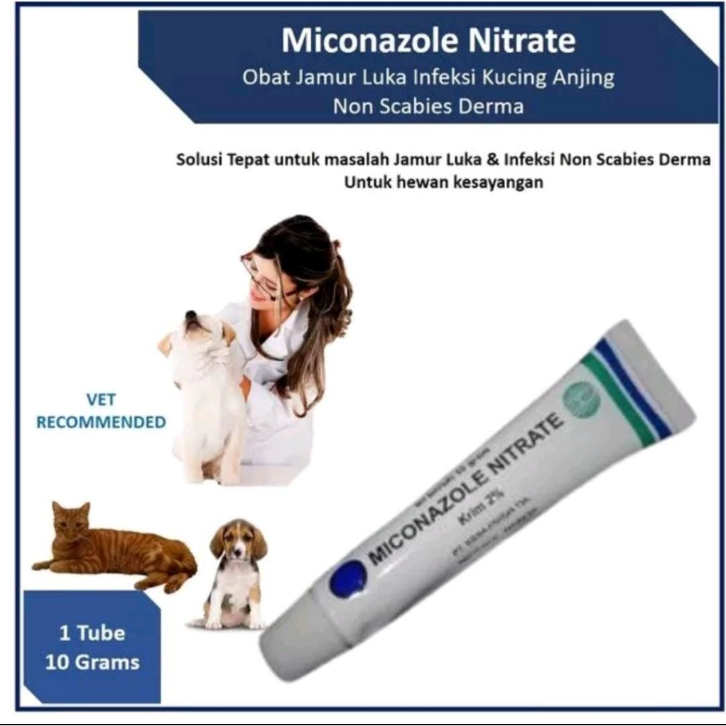 Jual MICONAZOLE NITRATE 10g (Kimia Farma) - Obat Salep Jamur Luka ...