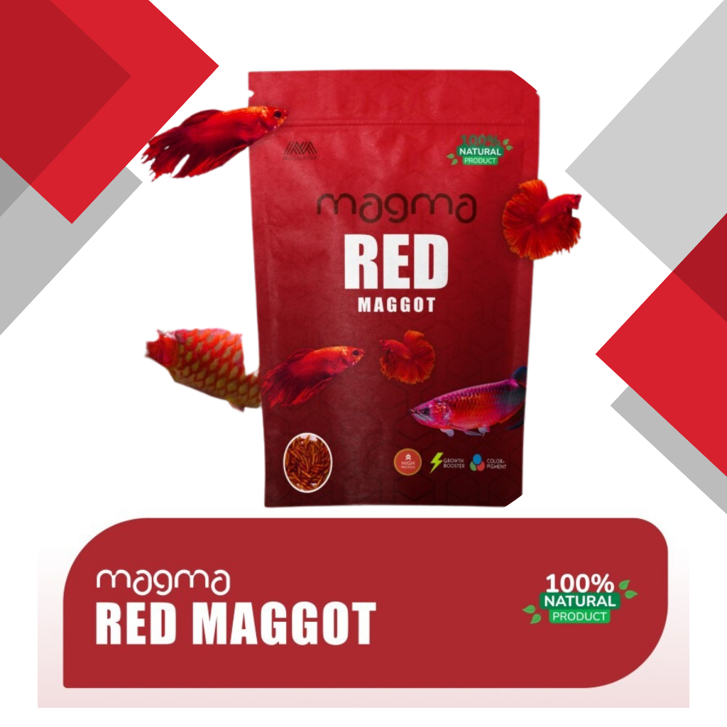 Jual 𝐑𝐄𝐃 𝐌𝐀𝐆𝐆𝐎𝐓 𝐆𝐑𝐀𝐃𝐄 𝐀+ 𝐏𝐑𝐄𝐌𝐈𝐔𝐌 𝐌𝐀𝐆𝐎𝐓 𝐏𝐀𝐊𝐀𝐍 𝐊𝐎𝐈 𝐂𝐇𝐀𝐍𝐀 𝐂𝐀𝐍𝐀 𝐈𝐊𝐀𝐍 𝐇𝐈𝐀𝐒 ...