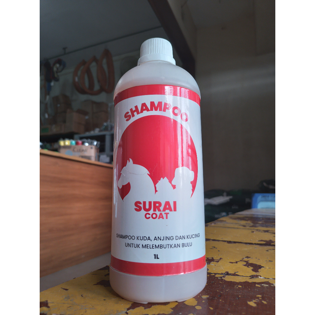 Jual SHAMPOO SURAI DERMAZOLE DAN COAT | Shopee Indonesia
