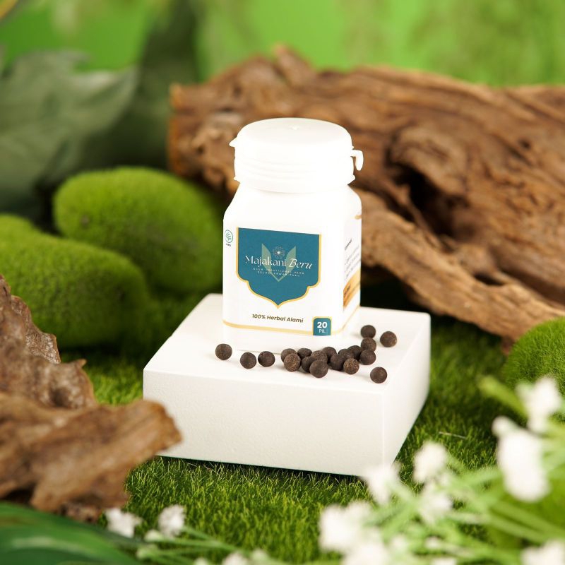 Jual Majakani Beru Aceh traditional Herb | Shopee Indonesia