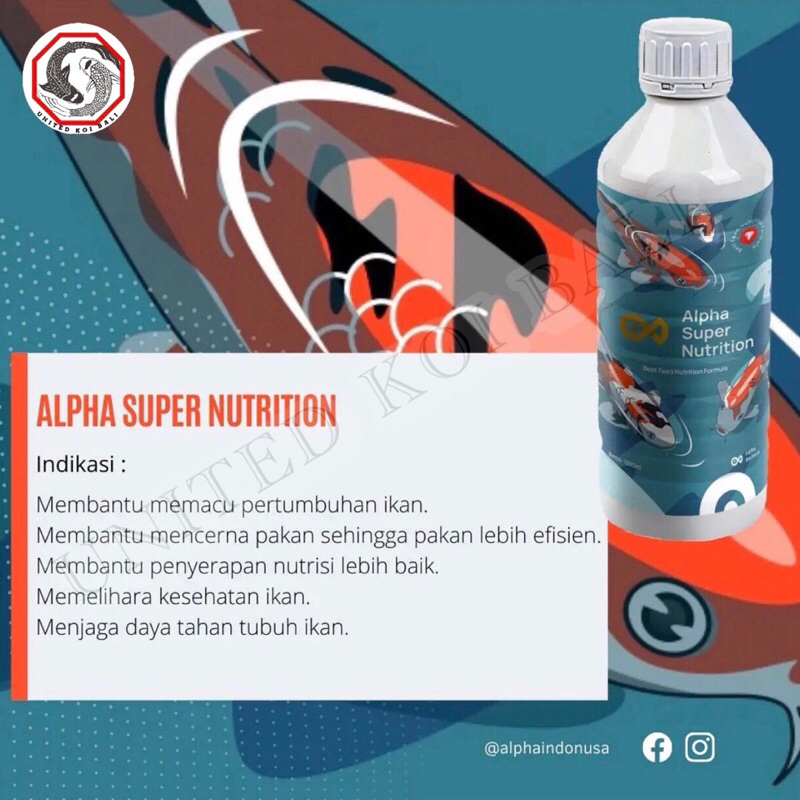 Jual ALPHA BACTERIA - ALPHA SUPER NUTRITION PERTUMBUHAN IKAN | Shopee ...