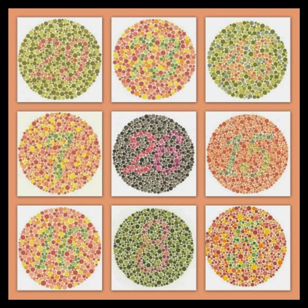 Jual ISIHARA /BUKU TEST BUTA WARNA - buku isihara test | Shopee Indonesia
