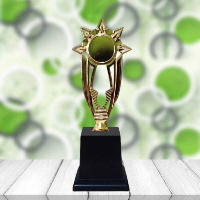 Jual Piala Mini Satuan Murah [GT] 29cm | Shopee Indonesia
