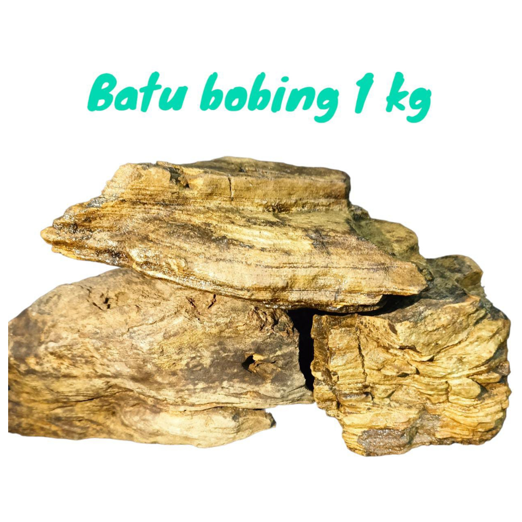 Jual Batu Aquascape - Batu Bobing batu hias aquarium 1KG | Shopee Indonesia