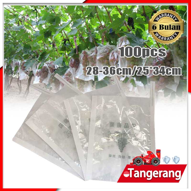 Jual 100pcs Pembungkus Buah Fruit Bag Fruit Cover Bungkus Buah Anggur ...