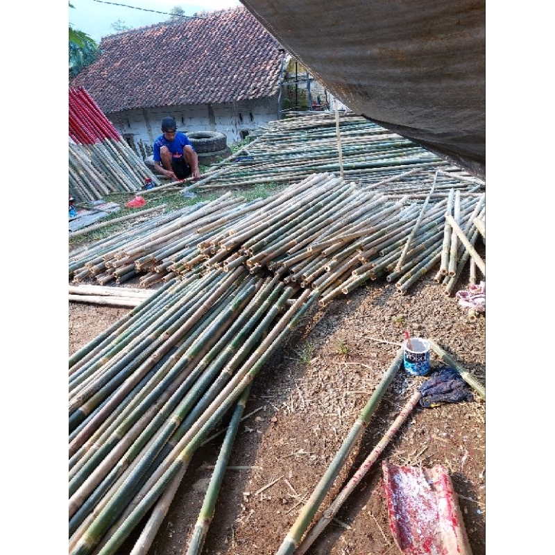 Jual Bambu Tiang Bendera Umbul Umbul Baleho Spanduk Sudah Di Cat ...