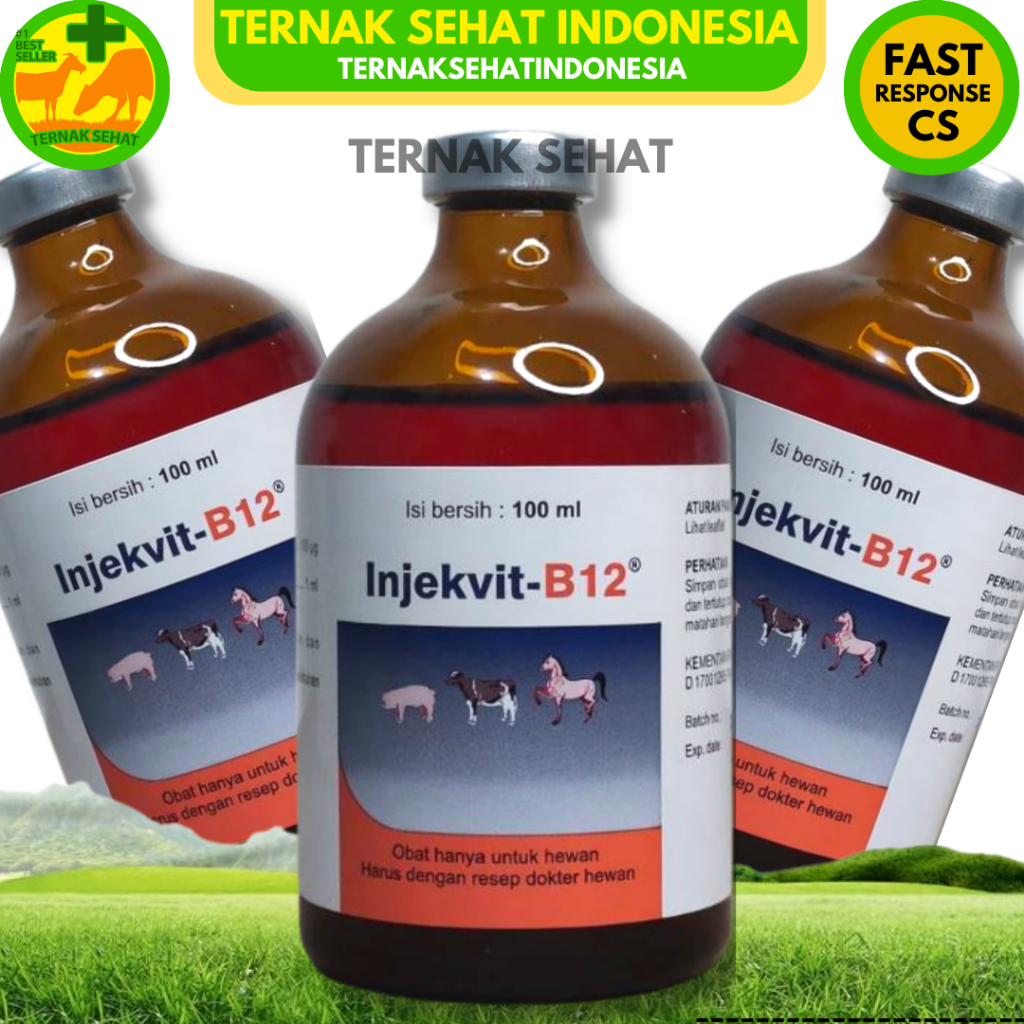 Jual INJEKVIT B12 100 ml - Vitamin B12 untuk perbaiki kondisi tubuh ...