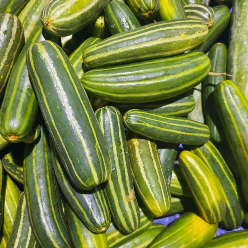 Jual timun krai 500 gram | Shopee Indonesia