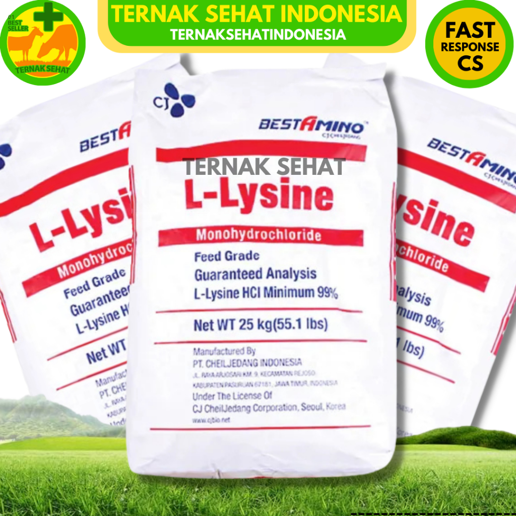Jual LYSINE 1 KG - LISIN - LYSIN - LISINE - LEUSIN - SUPLEMEN VITAMIN ...