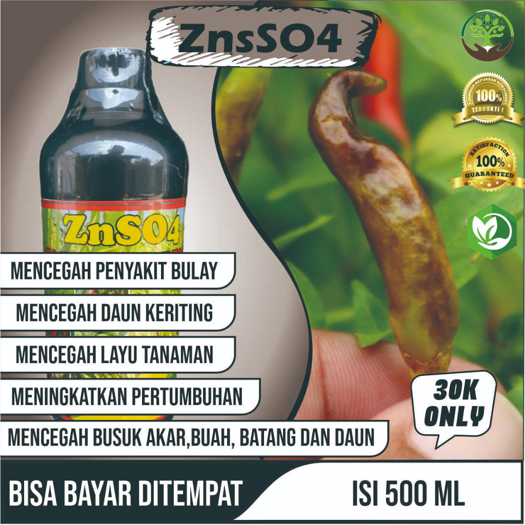 Jual Obat Atasi Daun Cabe Keriting pupuk znso4 super zet en pupuk cair ...