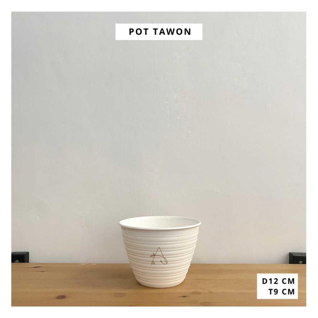 Jual Pot Bunga Tanaman Mini Plastik Model Tawon Putih D12 cm | Shopee ...